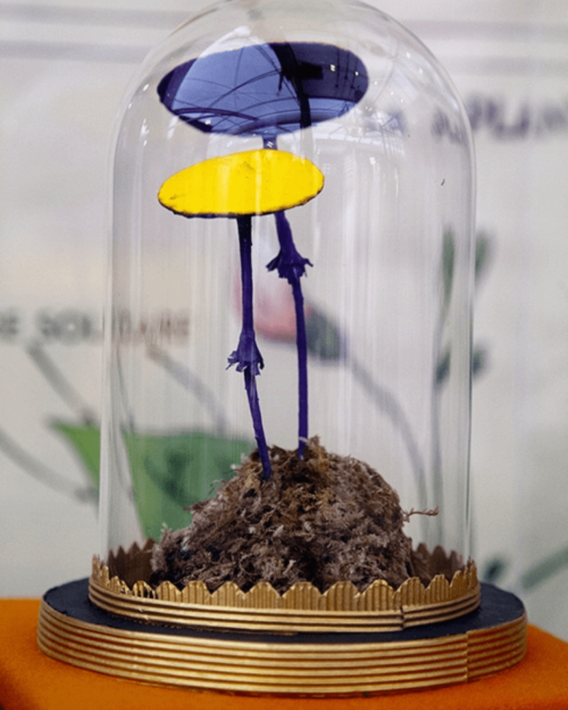 A Tribute to Mimi de Biarritz - Kit Kemp Design Studio