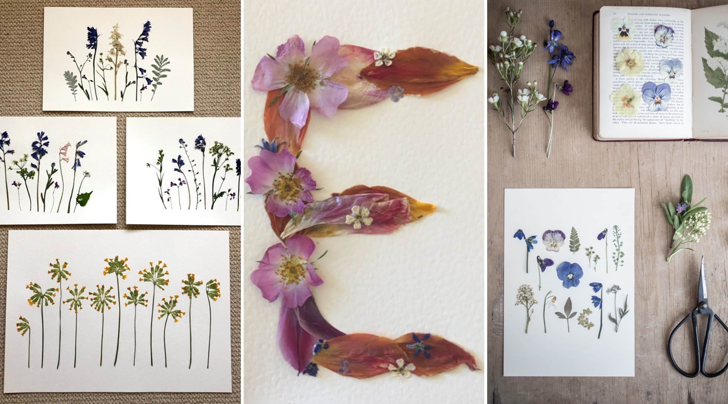 The Art of Flower Pressing - Kit Kemp Design Studio