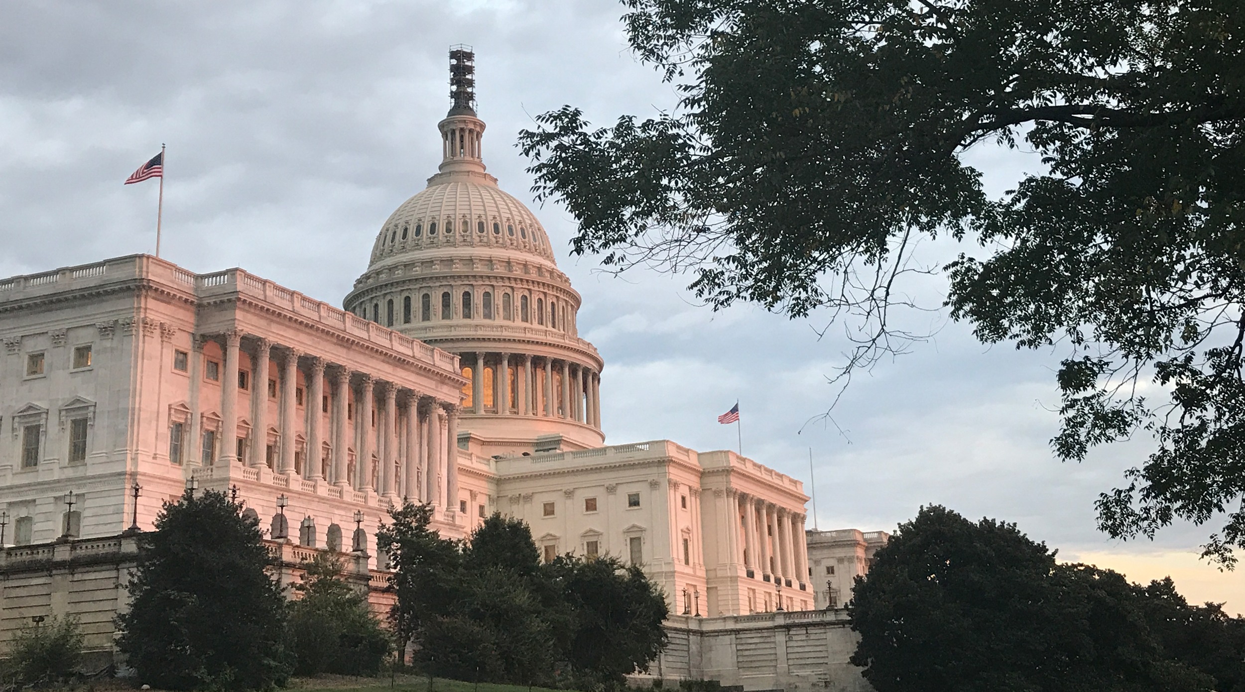 A Trip to Washington DC: Design Leadership Summit - Kit Kemp Design Studio