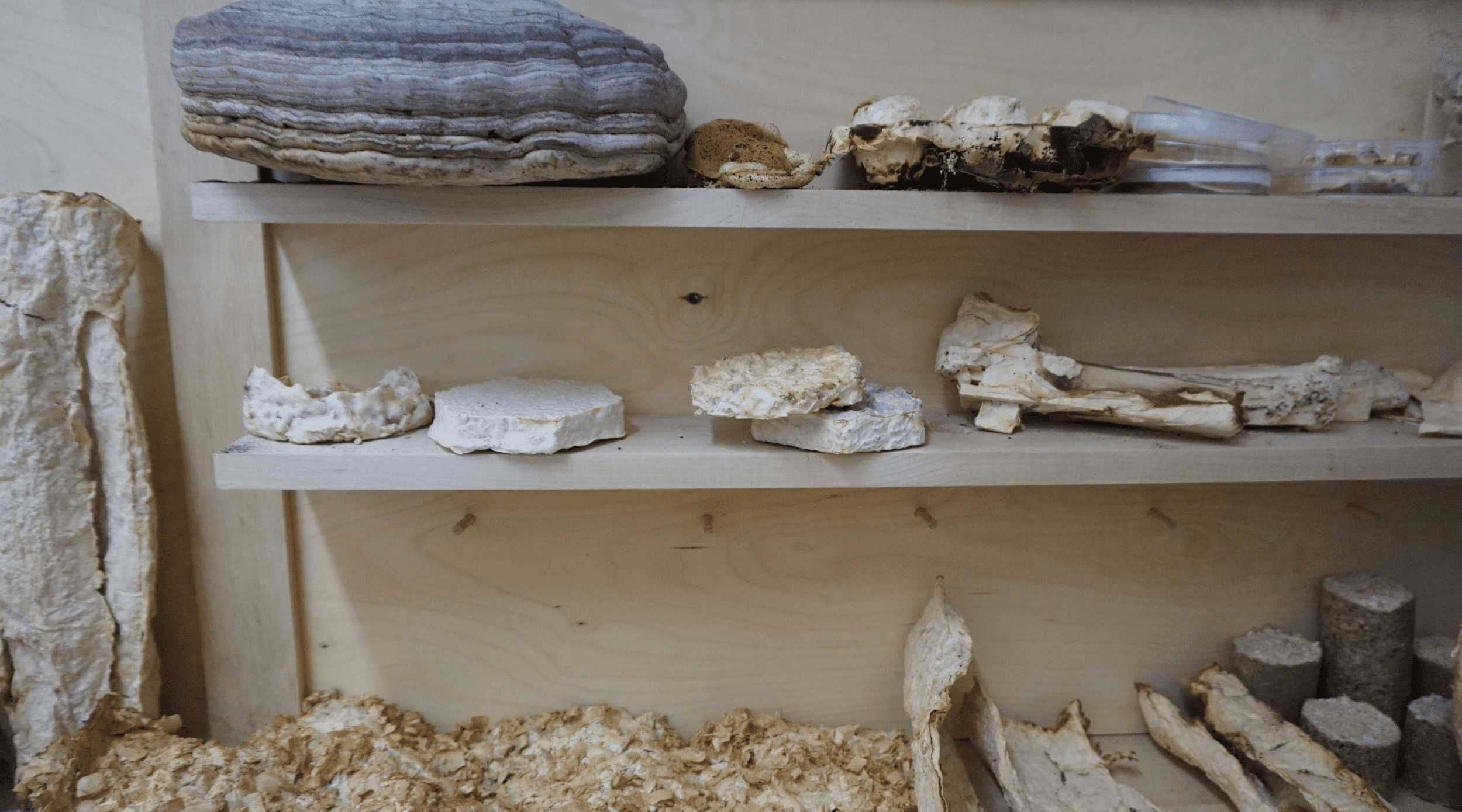 Sebastian Cox - Mycelium Magic - Kit Kemp Design Studio