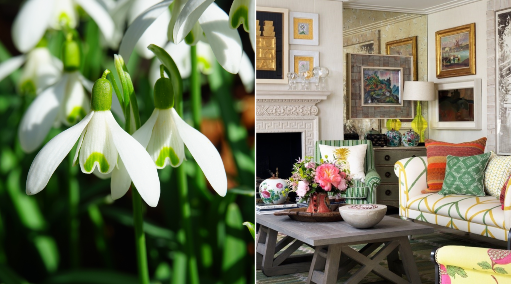 White Snowdrops - Kit Kemp Design Studio